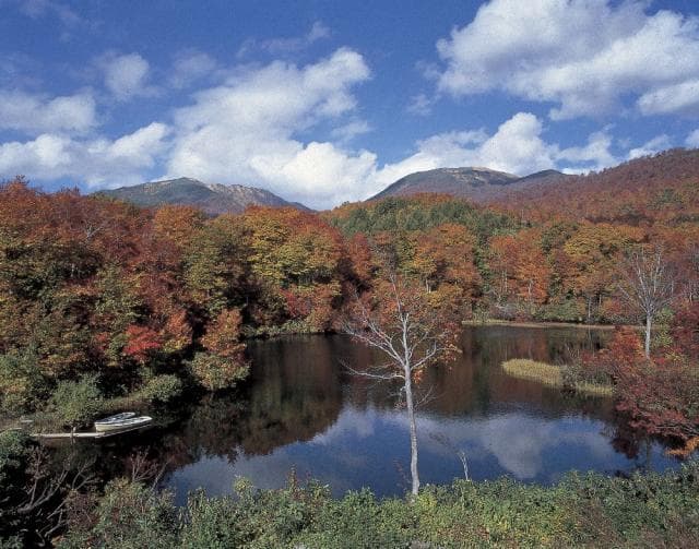 Goshiki-numa (Nishikawa-cho, Yamagata Prefecture) / Yamagata Prefecture ...